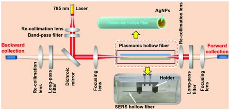 Design Of The Multifold Enhanced Raman Detection System Download