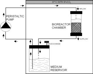 Perfusion Bioreactor Scheme Download Scientific Diagram