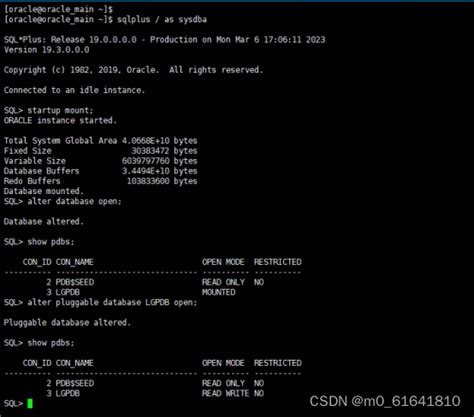 oracle数据库中adg模式部署 adg环境部署 csdn博客