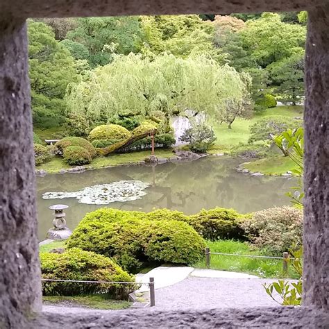 How Trees Grow Bonsai Science