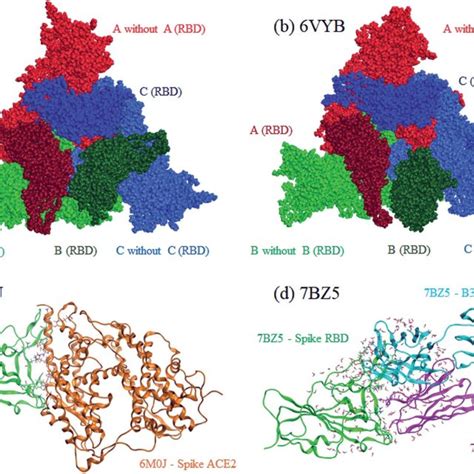 Graphical Representations Of Calculated Protein Structures Red Green Download Scientific