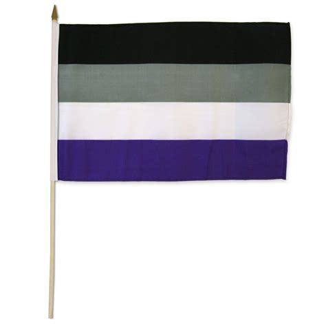 Asexual Pride Flag Rebellious Unicorns