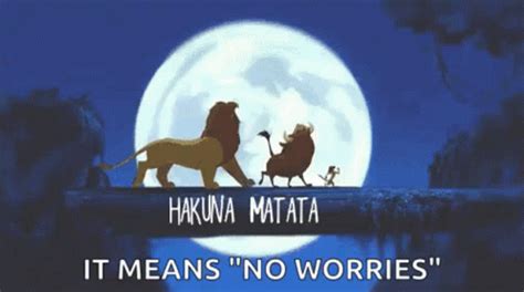 No Worries S