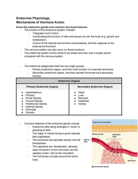Endocrine Physiology E Book Lecture Notes And Tutorials Endocrine Physiology Mechanisms Of