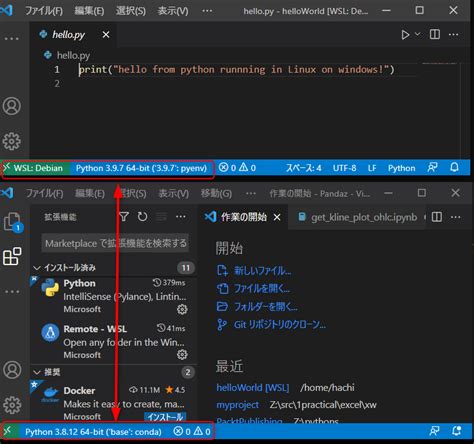 python on wsl 猫にビットコイン