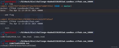 简单认识git（dirsearch、githack下载），git泄露（ctfhub） dirsearch下载 csdn博客