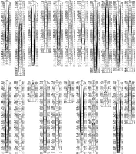 High Density Linkage Map With 9 Linkage Groups Assigned As C01 C09