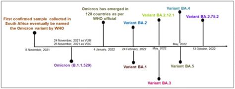 A Detailed Overview Of Sars Cov 2 Omicron Its Sub Variants Mutations And Pathophysiology