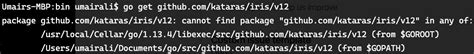 Couldnt Install A Pkg · Issue 36388 · Golanggo · Github