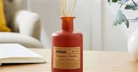 The Dunelm Autumn Reed Diffusers That Smell Incredible And Shoppers