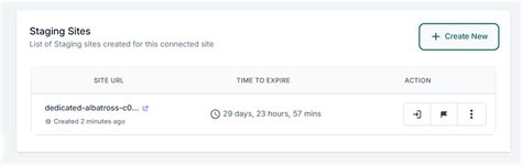 Wordpress Website Management With Instawp Detailed Guide