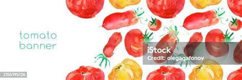 파스타 포장 디자인 주스 라벨 배너 채식주의 자 음식에 대 한 토마토 배너 배경 0명에 대한 스톡 벡터 아트 및 기타 이미지 0명 건강한 생활방식 건강한 식생활