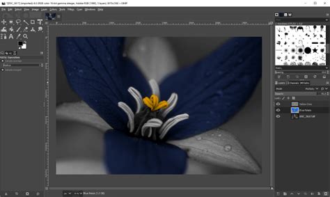 How To Colorize A Black And White Photo In GIMP Quick Guides