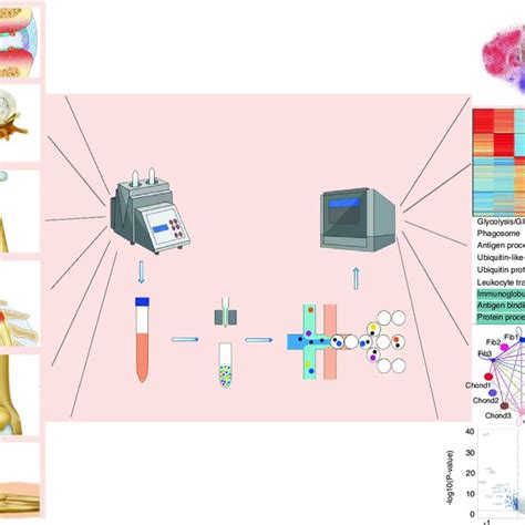 The Brief Workflow Of Single Cell Rna Sequencing For These Orthopedic Download Scientific