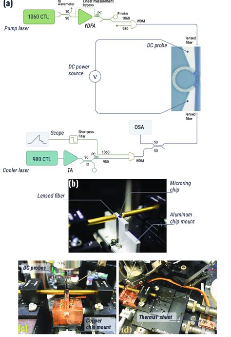 fig s1 experimental setup a schematic of the experimental setup