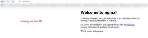 Nodeport Service Is Not Showing The Application Coming Up With Page