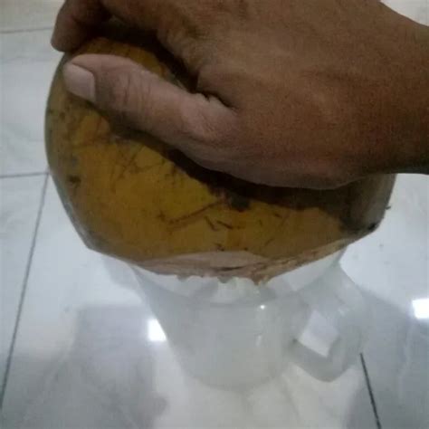 Resep Es Jahe Kelapa Muda Sederhana Rumahan Di Yummy App