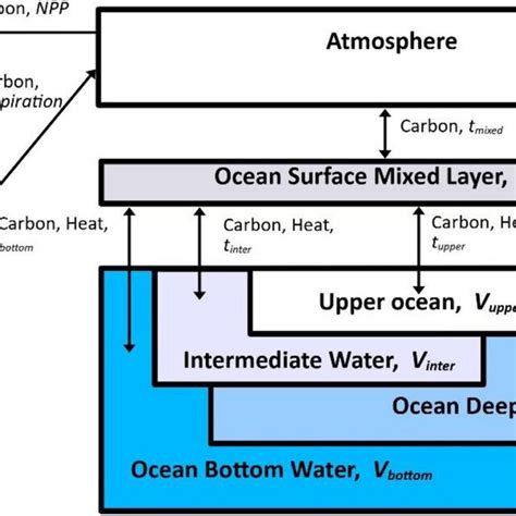 Schematic Of Wasp Model Adapted From Goodwin 2016 Download
