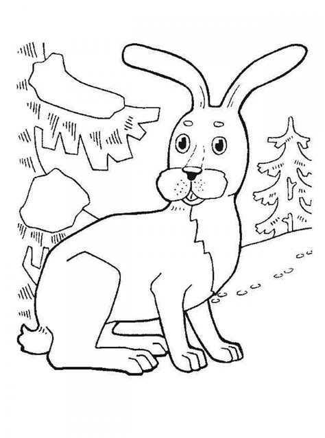 Раскраски Для детей заяц зимой 37 шт скачать или распечатать бесплатно 11468