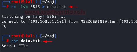 File Transfer Cheatsheet Windows And Linux