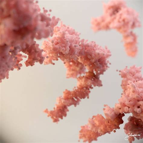 the inner workings of 3d biomedical imaging with giorgio luciano