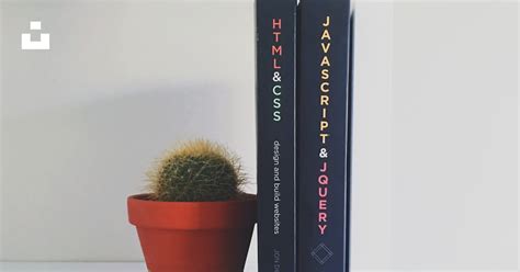 Livre Html Et Css Photo Image Gratuite De Livres Sur Unsplash