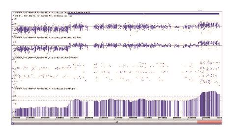 Results Of The Snp Microarray Analysis A Karyotype View Of The Download Scientific Diagram