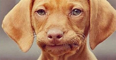 Saturday Imgur Overloaded Continuously Clicking Reload Button For A