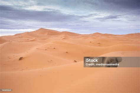 구름이 있는 표현적인 하늘 아래 사하라 사막 모래 언덕의 사막 풍경 공간을 복사합니다 0명에 대한 스톡 사진 및 기타 이미지 0명 개성 개념 건강관리와 의술 Istock