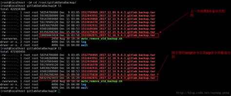 【linux学习 】linux使用script命令来记录并回放终端会话 csdn博客