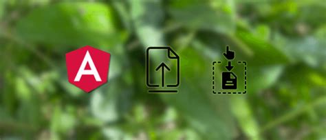 Angular File Upload Tutorial With Drag And Drop And Progress Bar