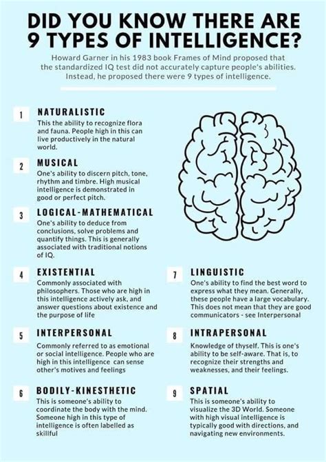 Neurotransmitters 101 Infographic Artofit