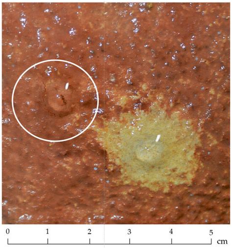 remote sensing special issue remote proximal sensing and