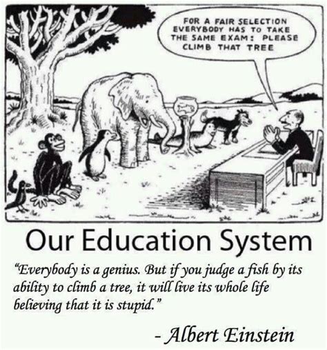 Quotes On Differentiated Instruction QuotesGram