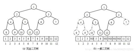 二叉树存储结构解析 csdn博客