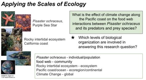 Ebio 2040 Population Ecology Unit Assessment Flashcards Quizlet