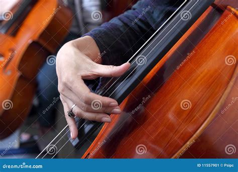 Cello Pizzicato Stock Image Image Of Violin Music Finger