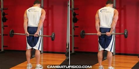 Ejercicios De Antebrazo Los Más Efectivos En 2025