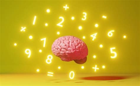 Hidden Brain Area Reveals Early Origins Of Our Math Abilities