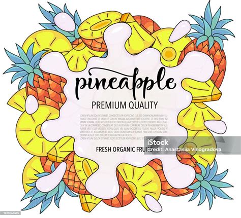 파인애플 전체 및 조각 벡터 배경입니다 흰색 배경에 격리된 벡터 스톡 그림입니다 과일 카드 디자인 물이나 우유를 뿌리기 제품 정보 및 레터링 0명에 대한 스톡 벡터 아트 및