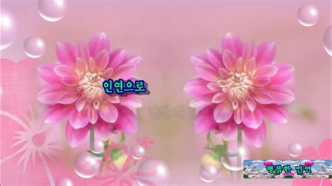 좋은 글 행복한 인연 안국훈 Youtube