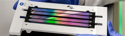 Single Genomic Test Promises Accelerated Diagnoses For Rare Genetic