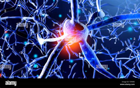 3d Darstellung Der Neuron Zellen Aufbau Eines Neuronalen Netzes