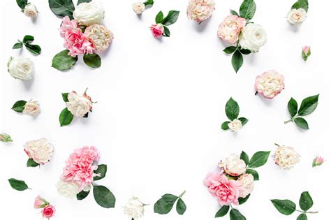장미와 정향 가지 흰색 배경에 꽃 무늬 플랫 레이 상단 보기 발렌타인 의 배경 플로럴 프레임 꽃의 프레임 0명에 대한 스톡 사진 및 기타 이미지 Istock