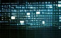 Data Masking Static Vs Dynamic