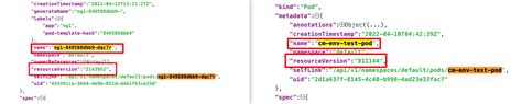 when sorting the resource version field in the cluster the result is
