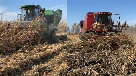 倒伏玉米收割大pk：玉米摘穗机vs玉米籽粒收获机腾讯视频