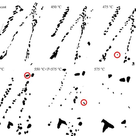 Schematic Representation Of Particle Shape Evolution During In Situ