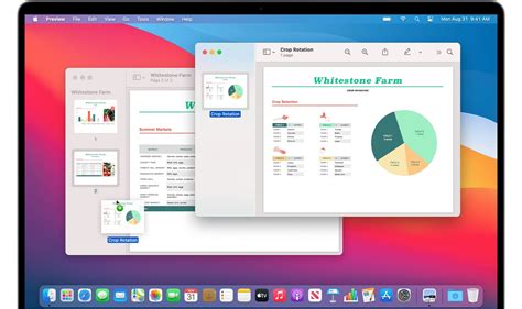 Proven Ways Fix The PDF Document Failed To Load Issue