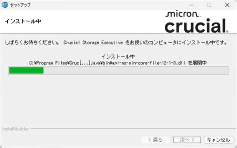 Crucial Storage Executive インストールガイド インストールガイド